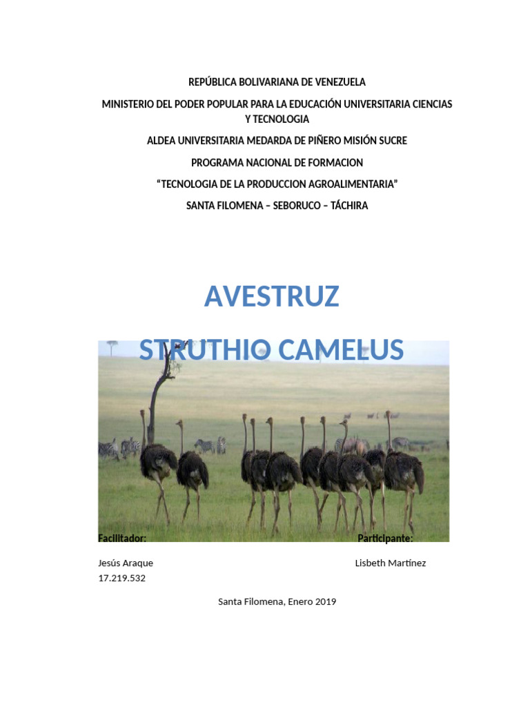 Tabajo Avestruz Lisbeth Carolina | PDF