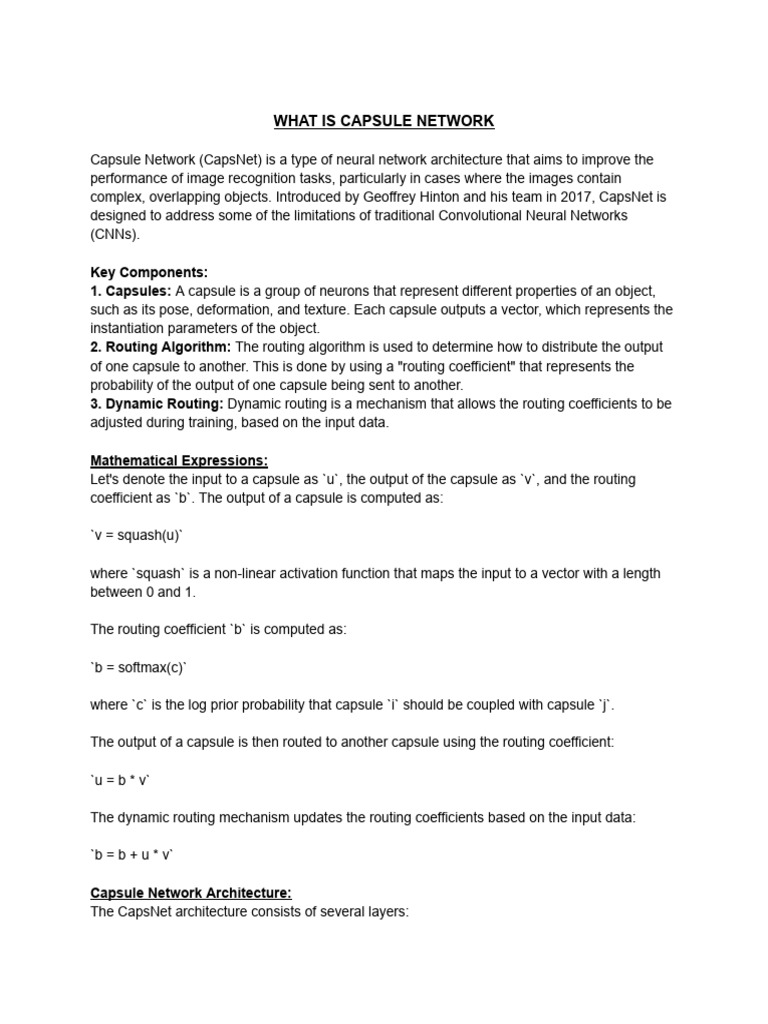 Capsule Network Project Research Pdf Computer Vision Artificial