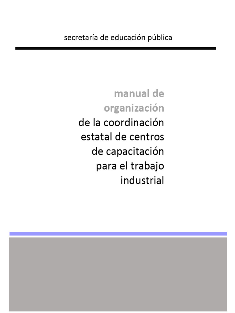 06 Manual de Organizacion de La Coordinacion Estatal de Cecati (Agosto 1990) | PDF | Presupuesto ...