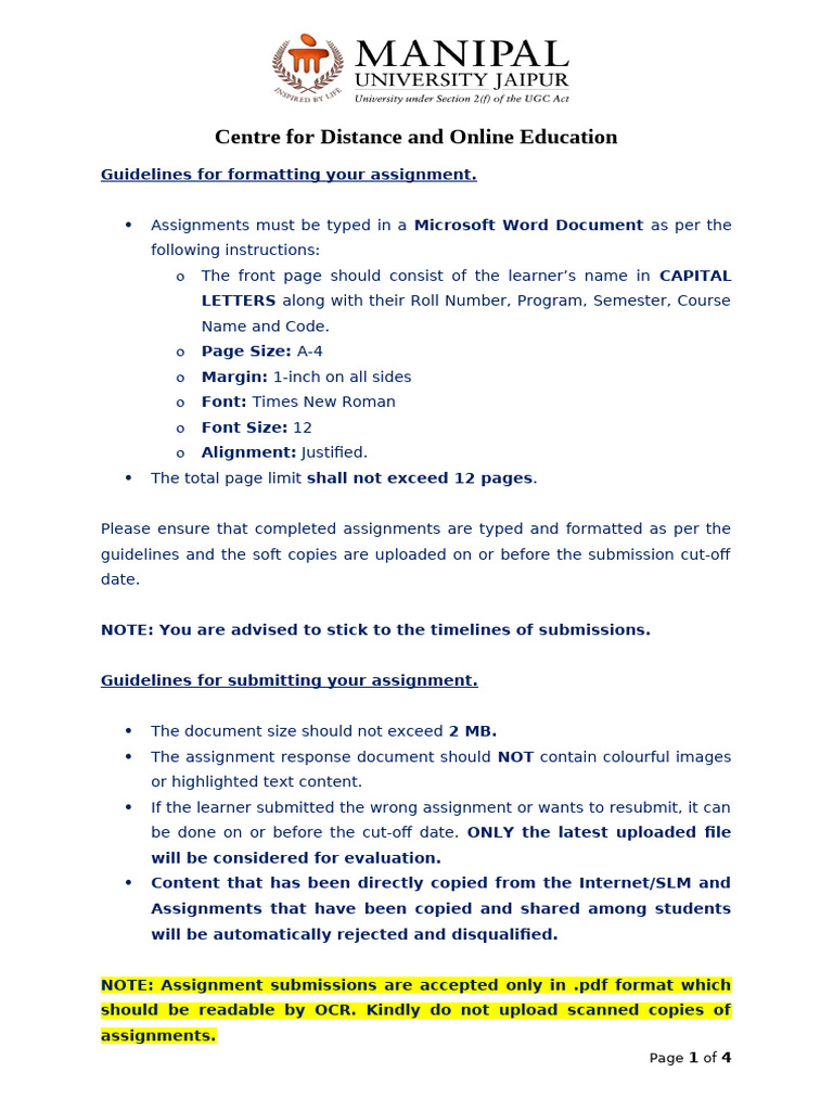 MBA Assignment Formatting Guidelines | PDF