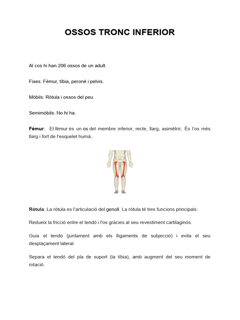 OSSOS TRONC INFERIOR | PDF