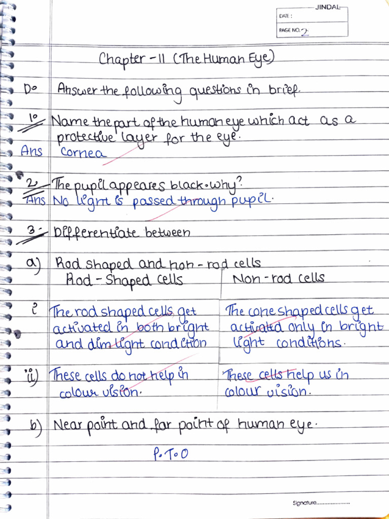 Class 8 Ch-11 Back Exercise | PDF | Light | Vision