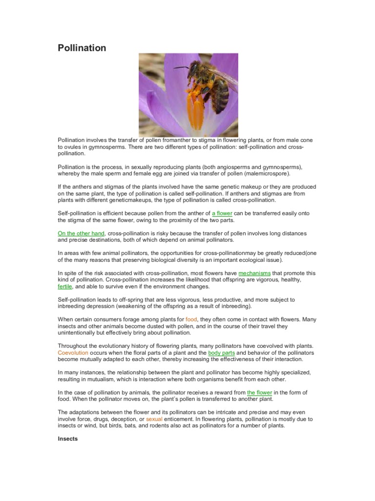 Pollination | PDF | Pollination | Pollinators