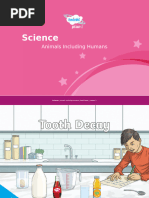 Class 4 Teeth and Their Structure Worksheet | PDF | Tooth | Tooth Enamel