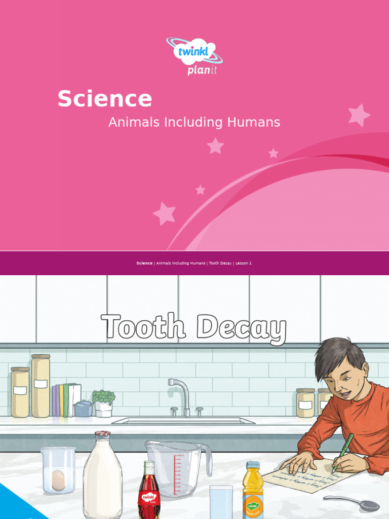 Lesson Presentation - Tooth Decay | PDF | Foods | Digestion