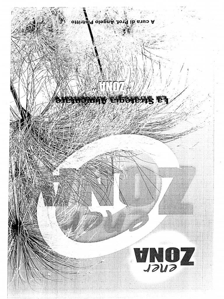 ENER ZONA | PDF