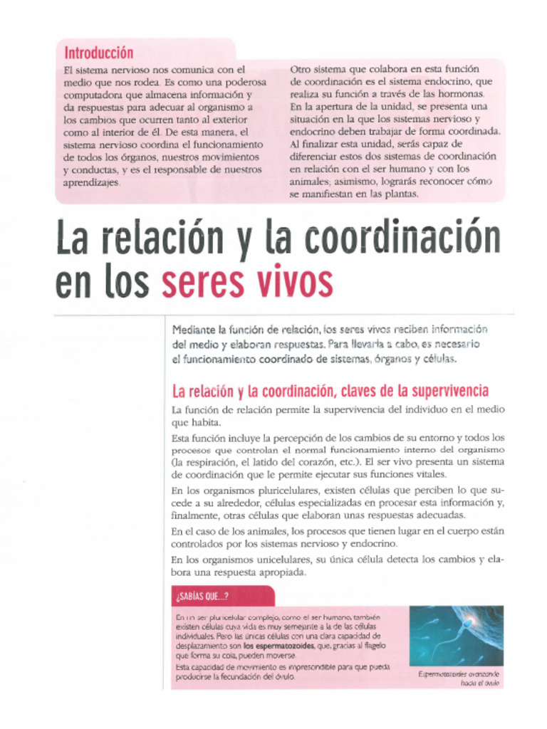 27 - La Relacion y Coordinación en Los Seres Vivos | PDF