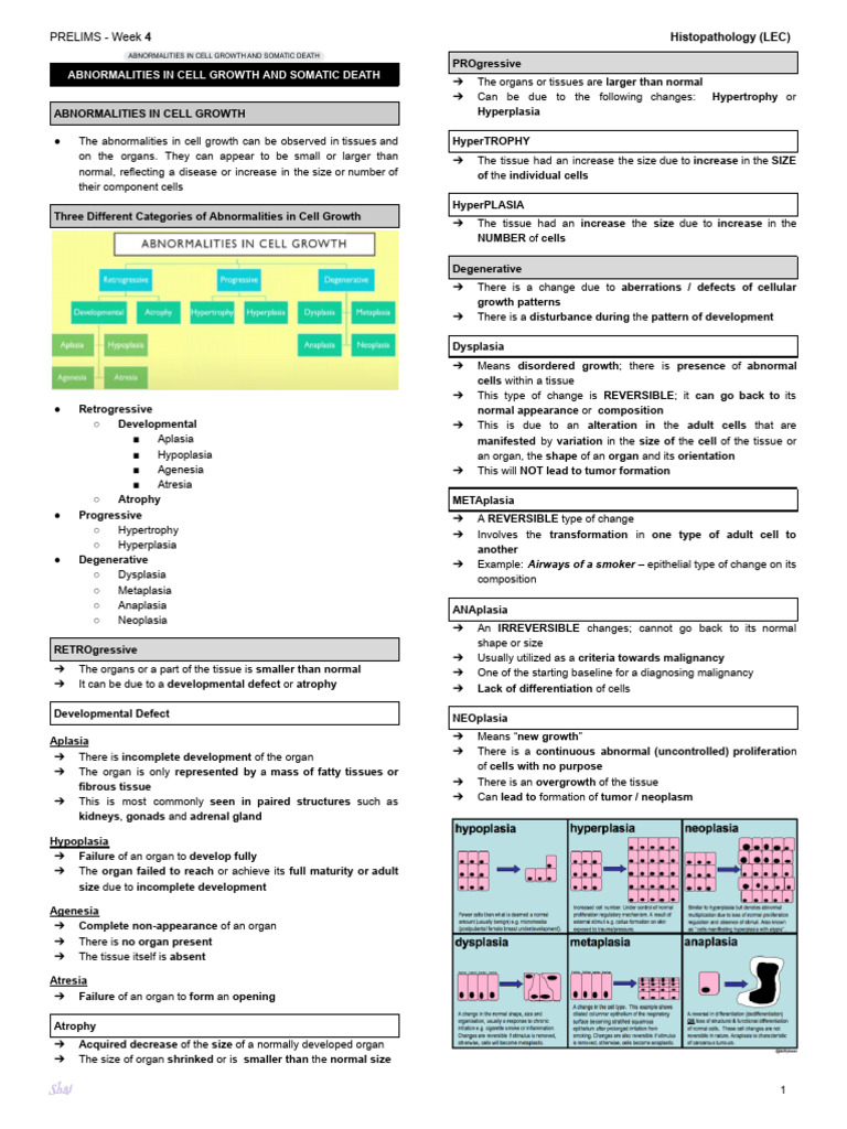 Histopathology LEC - Week 4 - Abnormalities in Cell Growth and Somatic Death & Biopsy and Post ...