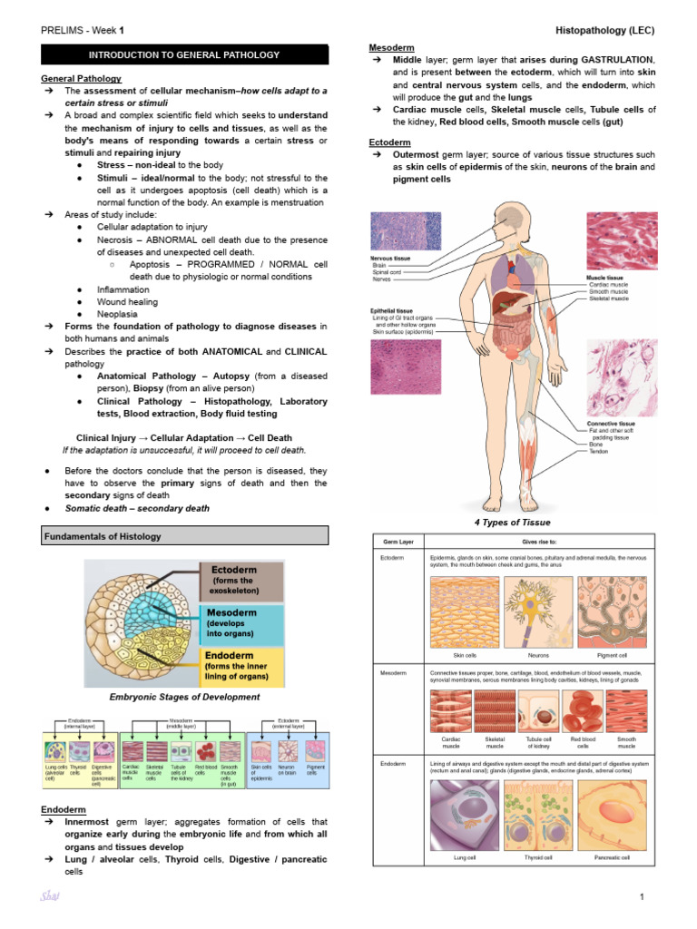 Histopathology LEC - Week 1 - Intro to Gen Pathology | PDF | Pathology | Histopathology