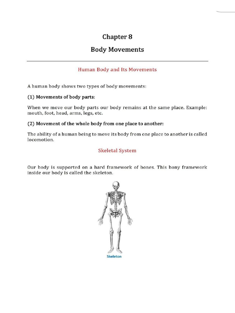 CL 6) Body Movements | PDF