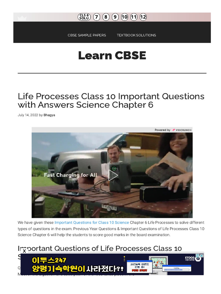 Study Material Class 10 | PDF | Respiratory System | Kidney