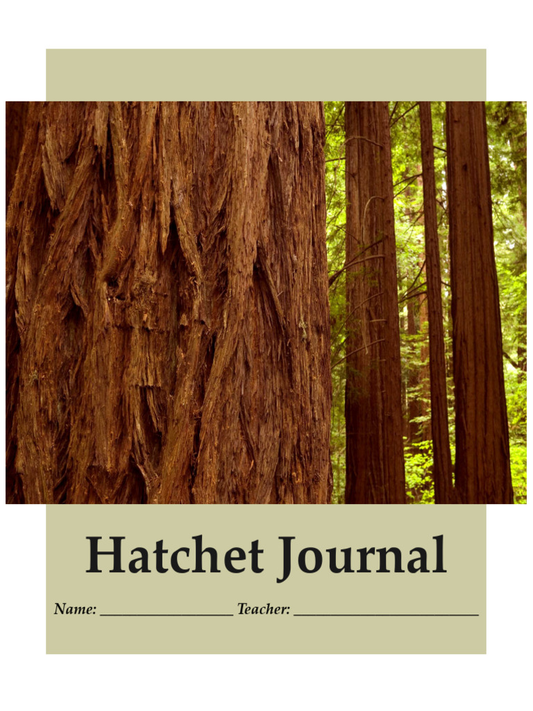Hatchet Journal: Name: - Teacher | PDF