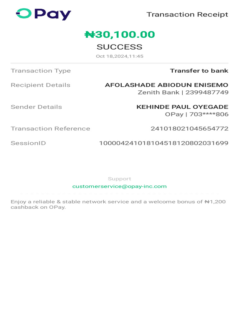 OPay Transaction Receipt | PDF
