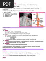 ESÒFAGO (Anatomía, Embriología, Histología y Fisiología) | PDF ...