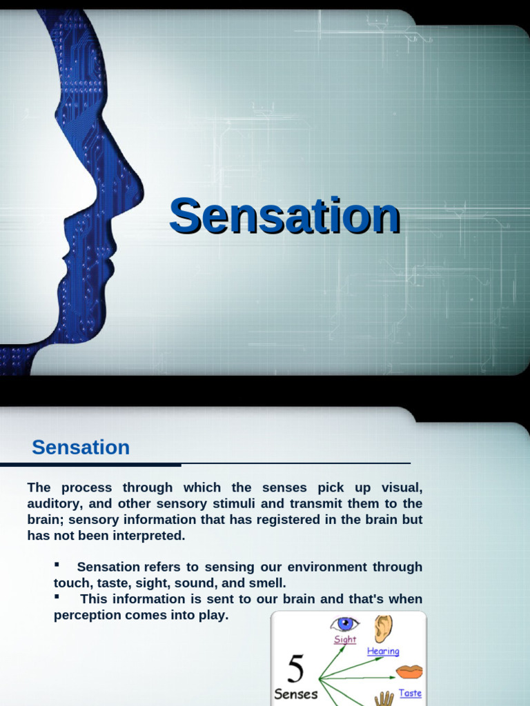 Sensation Presentation | PDF | Senses | Stimulus (Physiology)