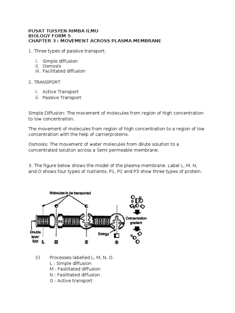 Biology Form 5 Chapter 3 | PDF | Cell Membrane | Molecular Biology