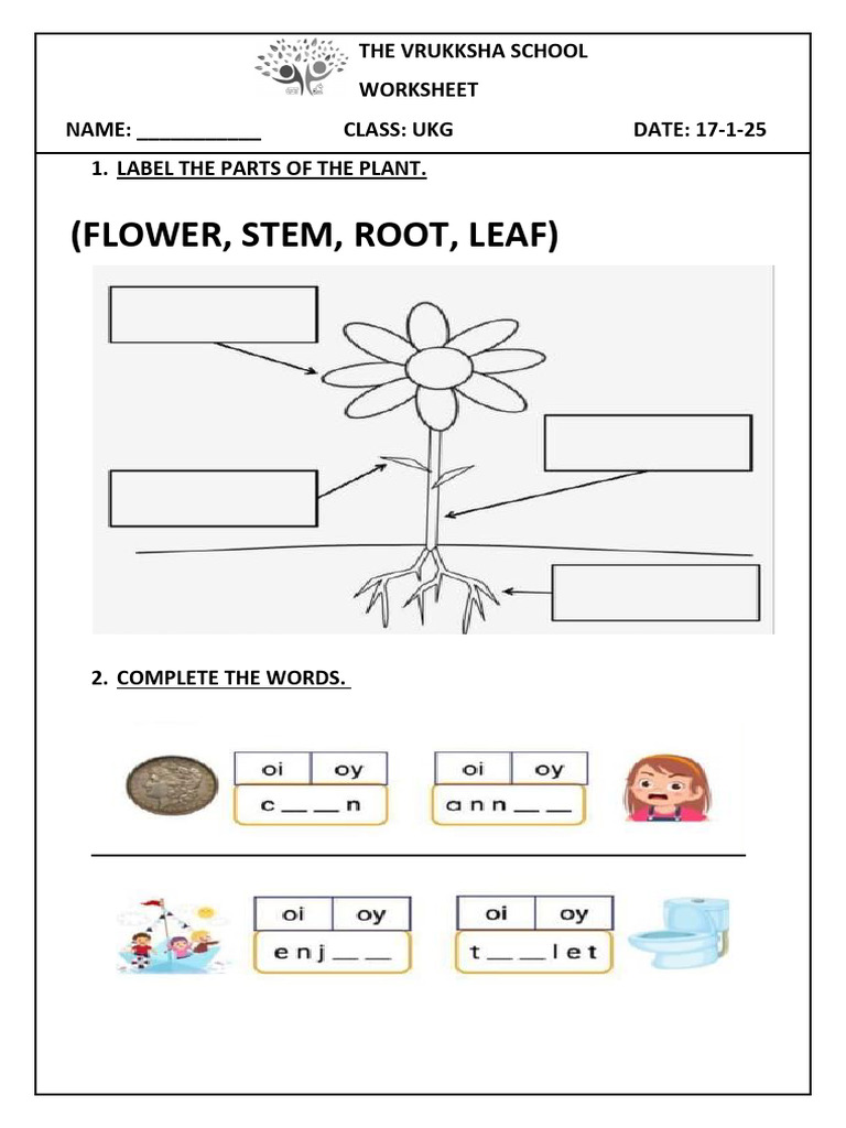UKG Plant Parts and Numbers Worksheet | PDF