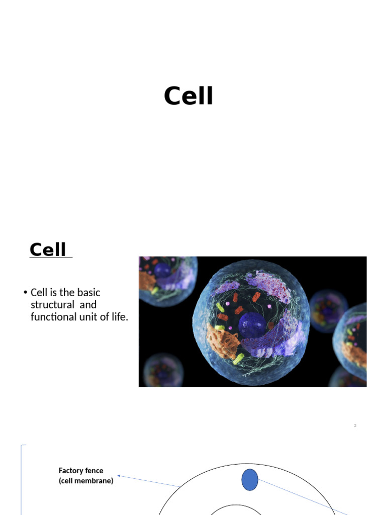 4-CELL and components(in detail), edgar (1) | PDF | Cell Membrane ...