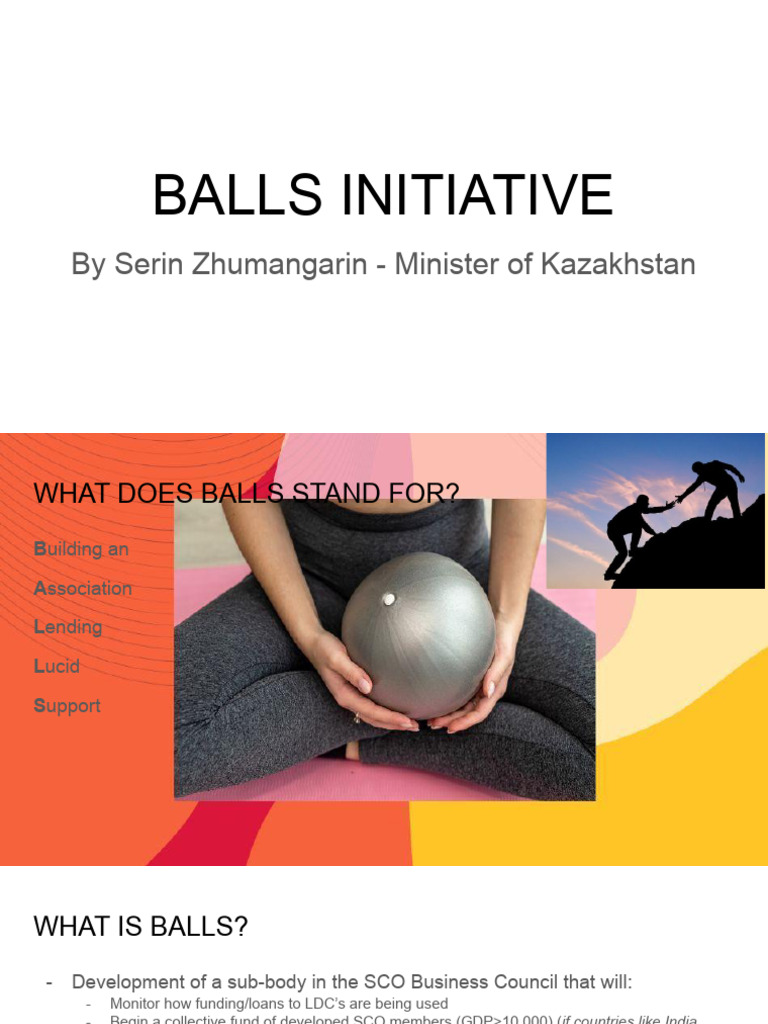 SCO Economic Support Initiative | PDF