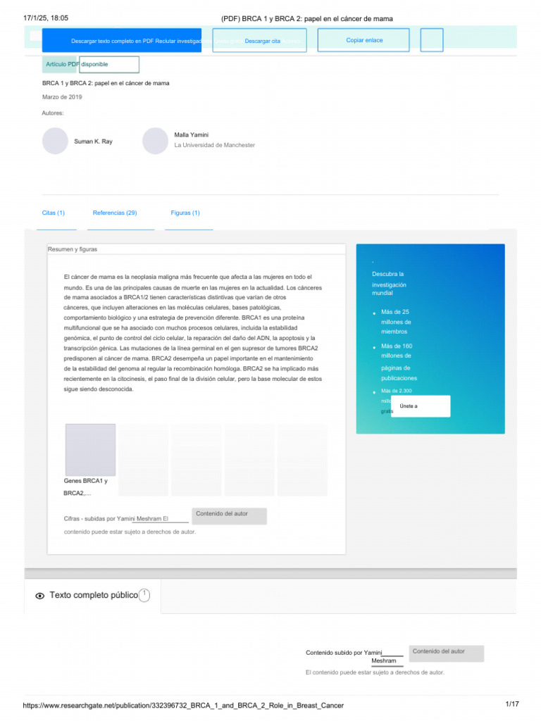 (PDF) BRCA 1 y BRCA 2 - Papel en El Cáncer de Mama | PDF | Cáncer | Reparación de adn
