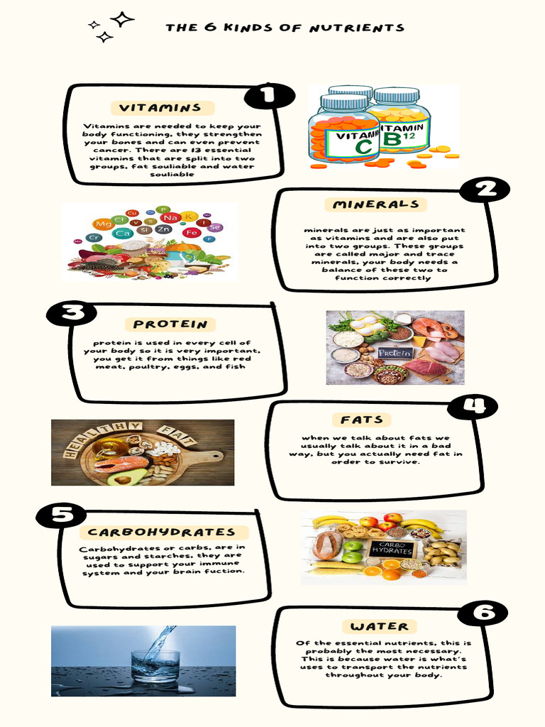 Health Infographic | PDF