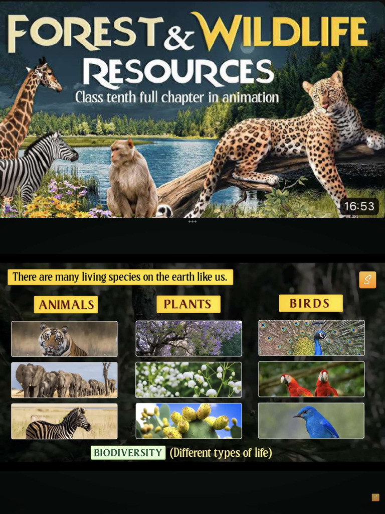 Forest and Wildlife | PDF
