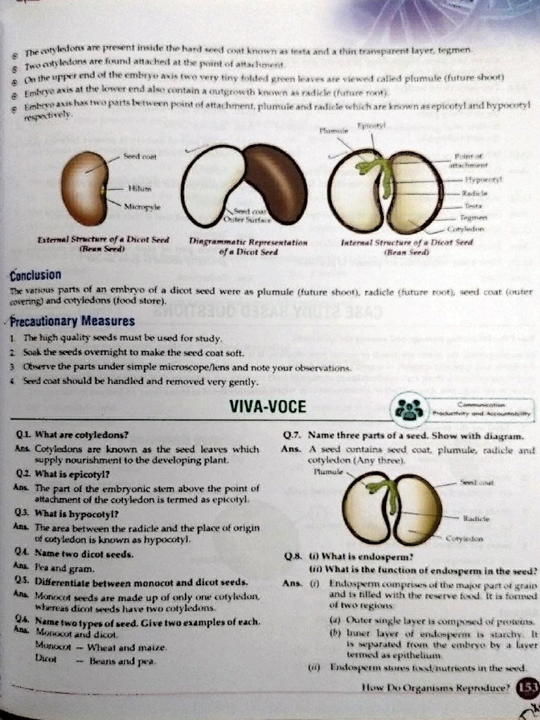 Science Lab Manual | PDF | Chemical Substances | Chemical Compounds