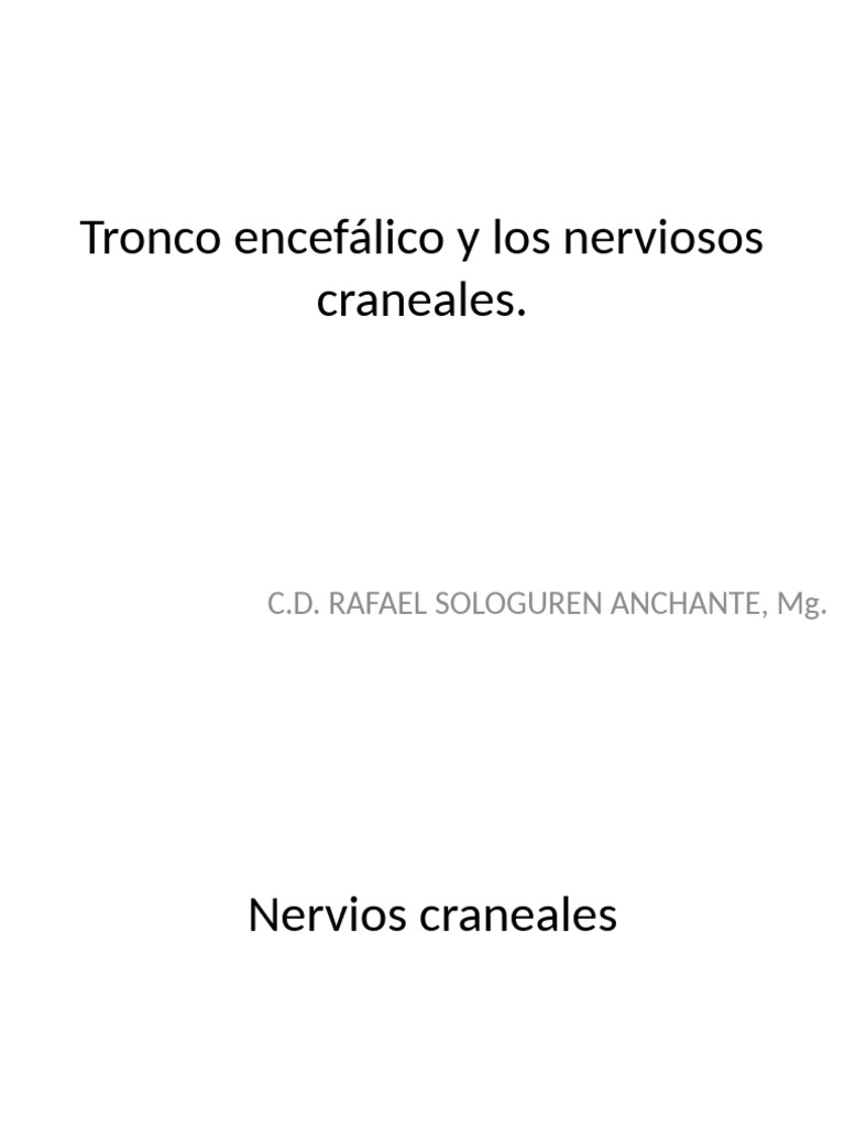 Neuro 2 | PDF | Anatomía humana | Sistema nervioso