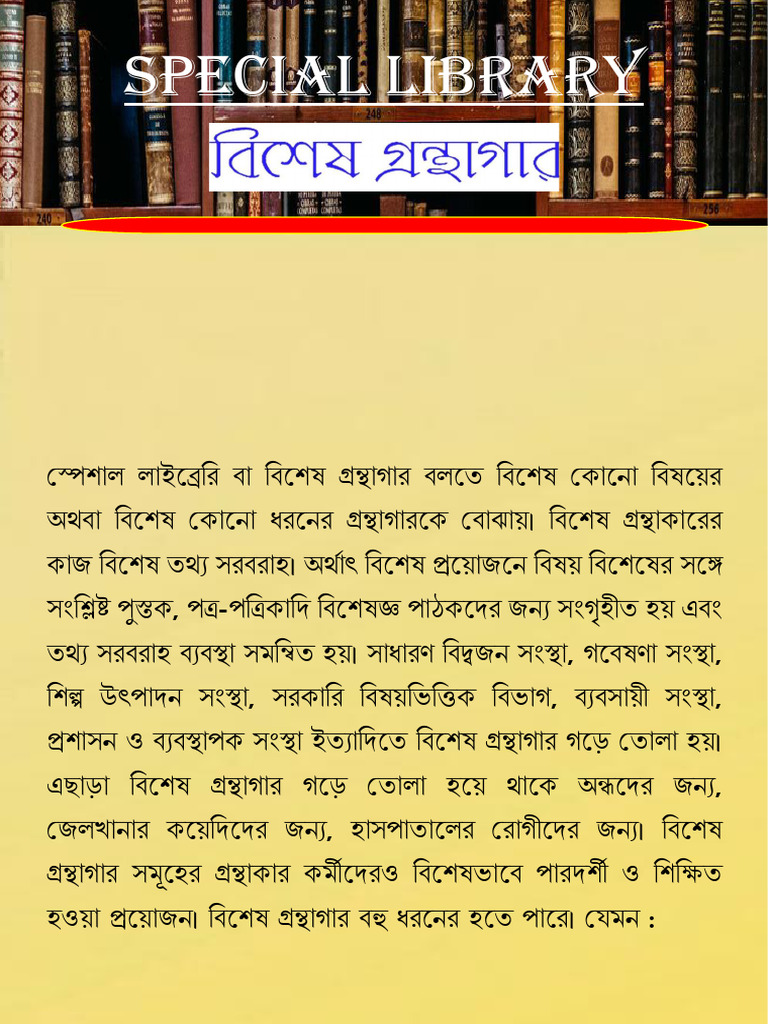Special Library PDF | PDF