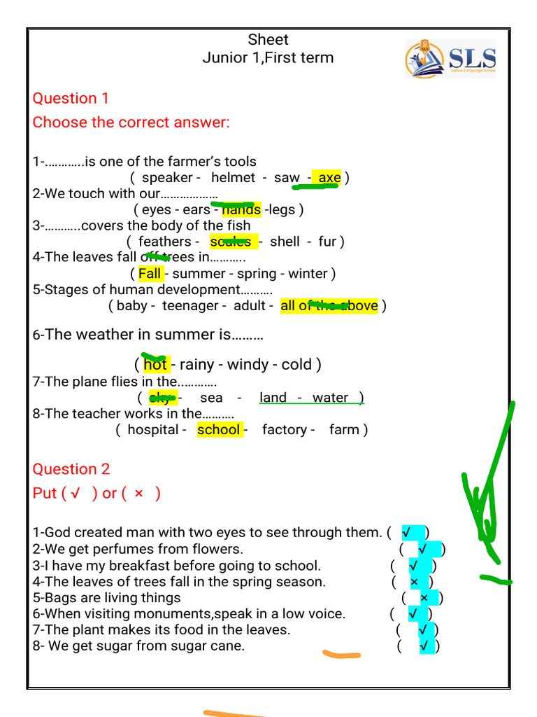 Choose The Correct Answer:: Sheet Junior 1, First Term | PDF