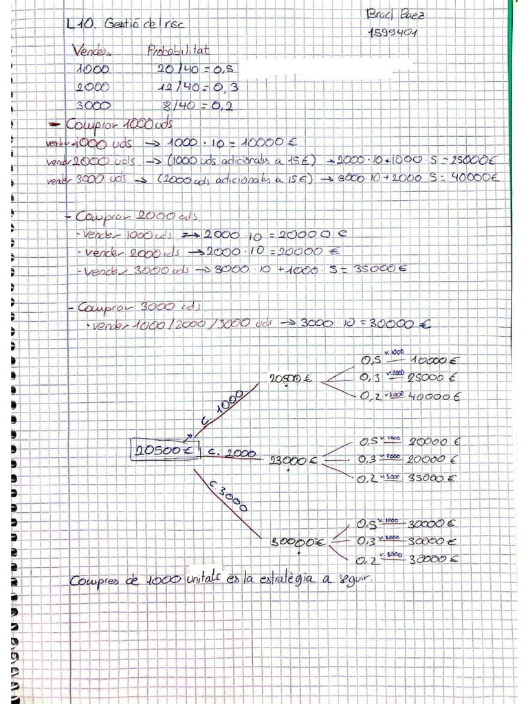 L10 Gestió Del Risc | PDF