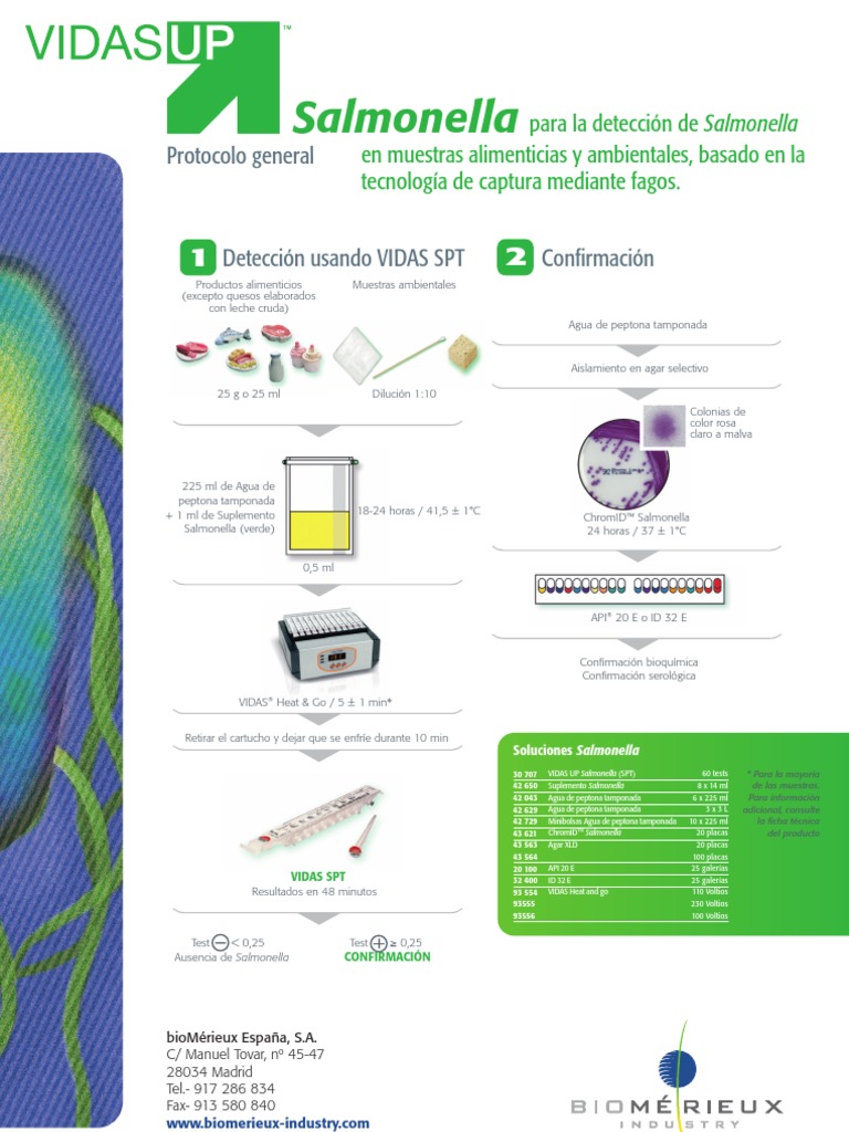 Protocolo Vidas SPT - Es | PDF | Cocina, comidas y vino