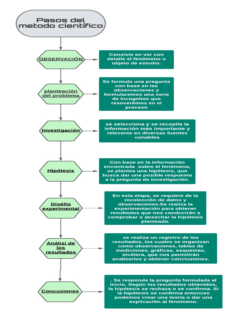 Mapa Conceptual Proceso Del Método Científico | PDF