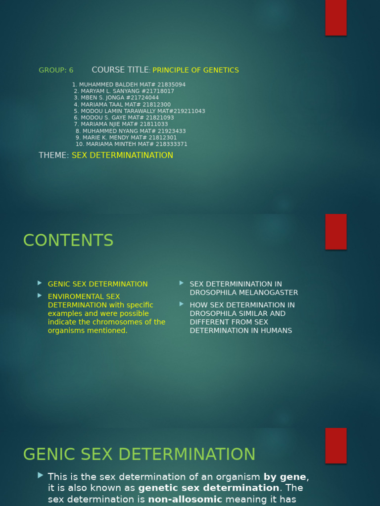 Grp-6-Drosophila edited2 | PDF | Sex | Biological Processes