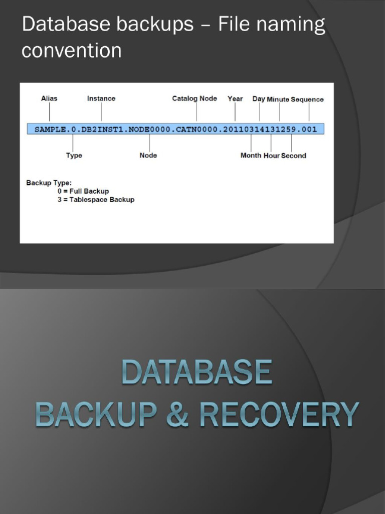Backup | PDF
