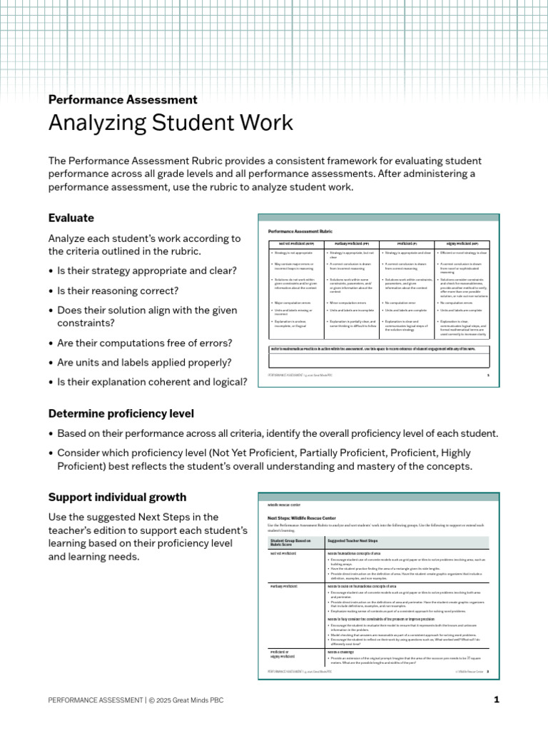 Student Performance Evaluation Guide | PDF | Thought | Mathematics