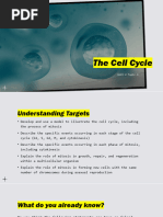 Mitosis Mover Webquest Bioman PDF | PDF | Mitosis | Chromosome