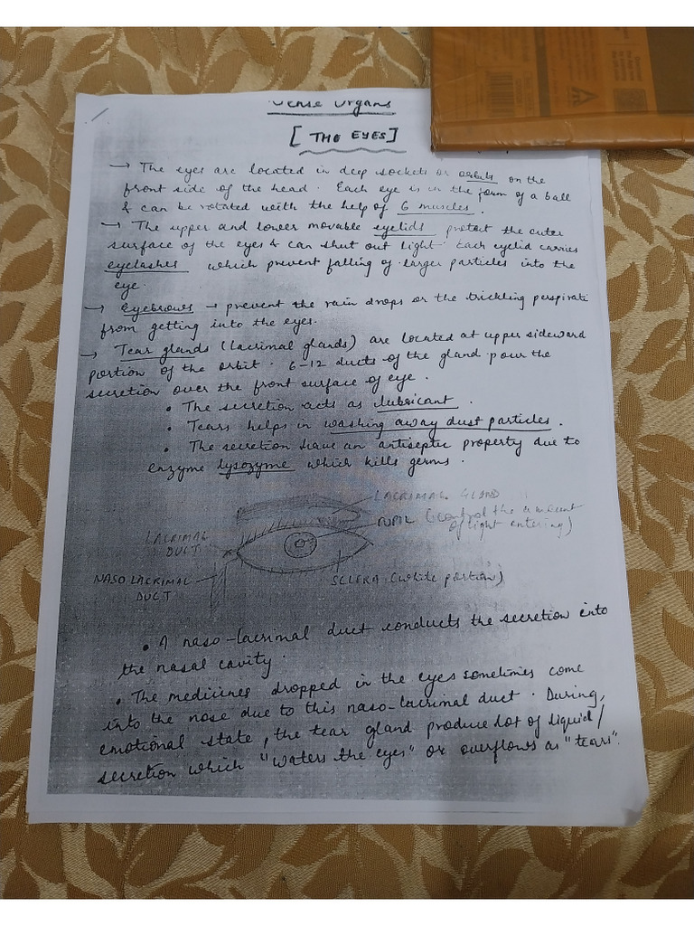 Sense Organs Past Year Notes | PDF