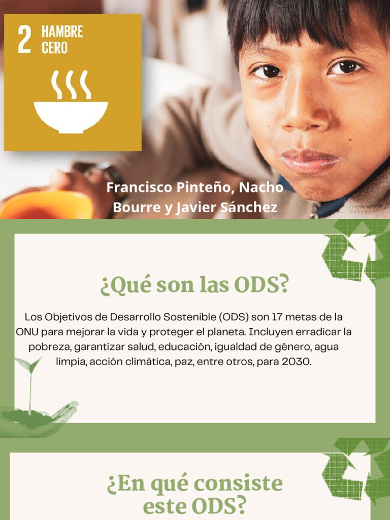 Ods 2 Hambre Cero | PDF