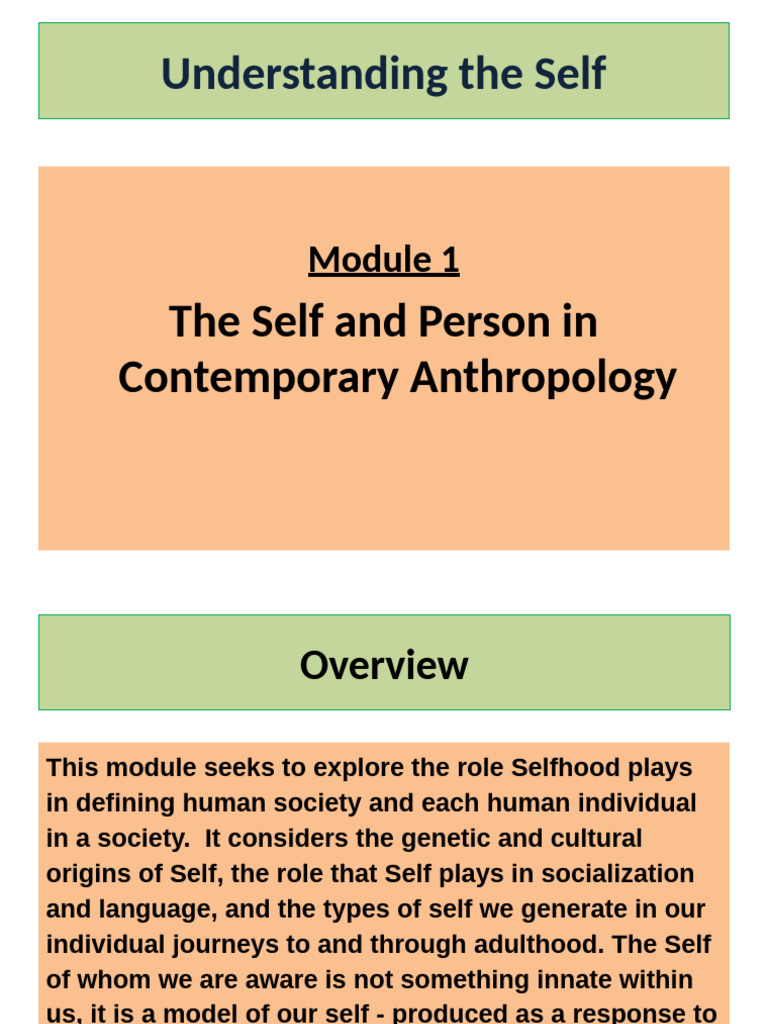 The Self and Person in Contemporary Anthropology | PDF | Identity ...