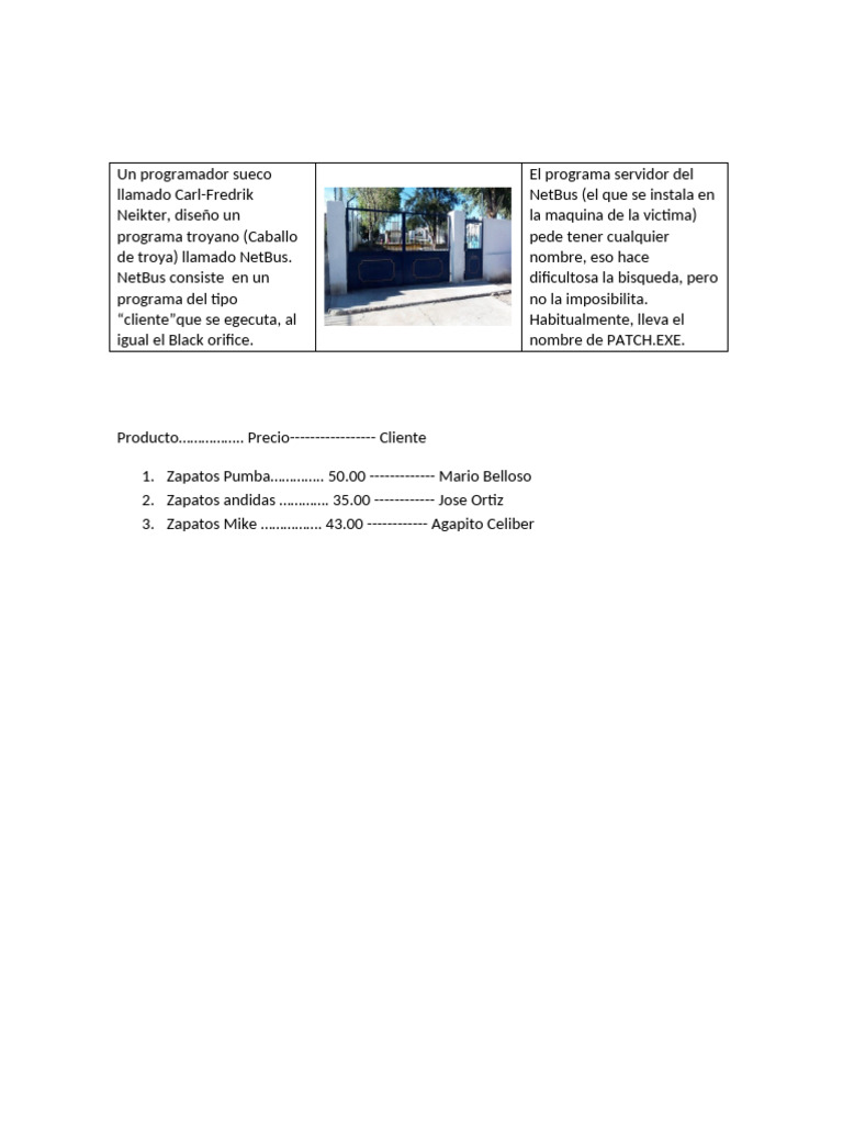 NetBus: El troyano de Neikter | PDF