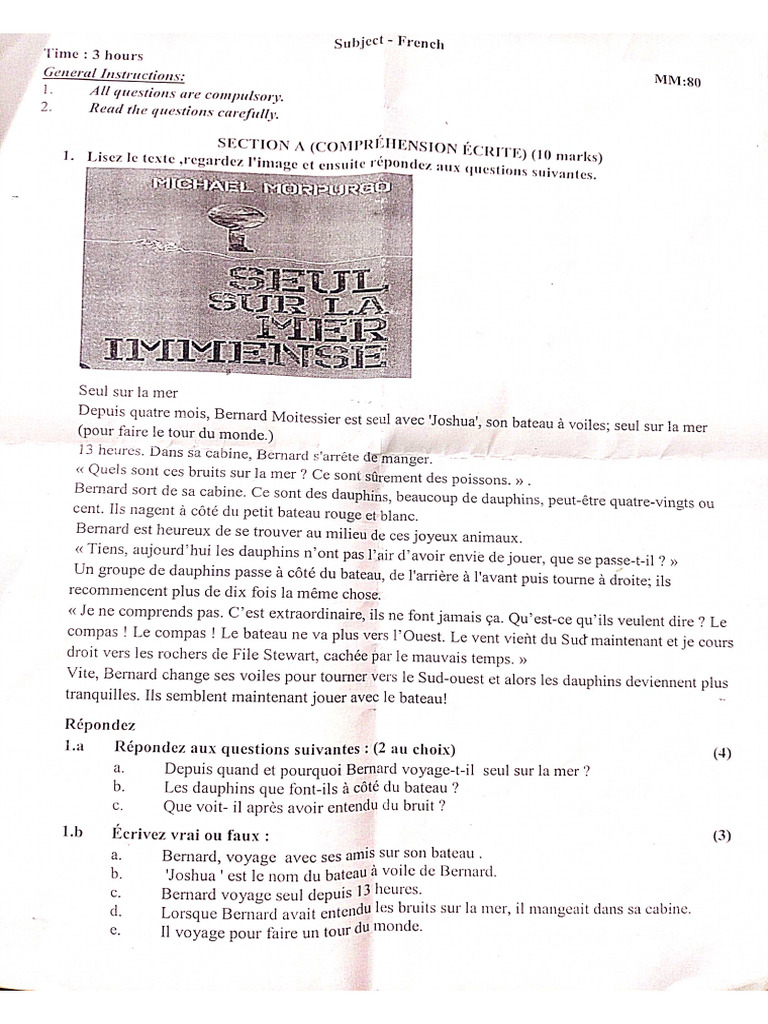 French Sample | PDF