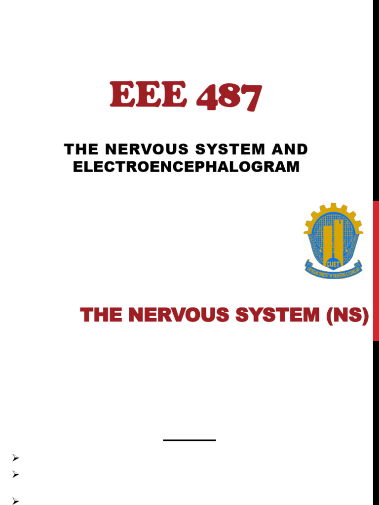 Lec_05. the Nervous System and EEG (2) | PDF | Neuron | Nervous System
