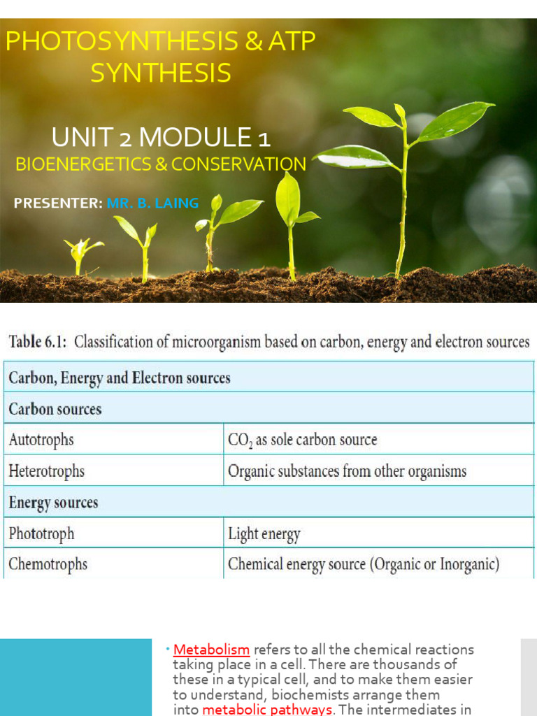 Photosynthesis and ATP Synthesis Overview | PDF | Chloroplast ...