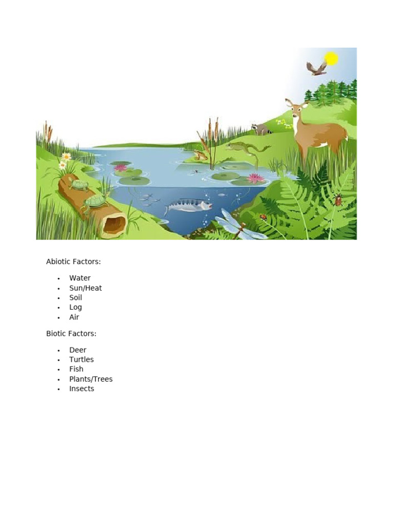 Abiotic and Biotic Factors | PDF