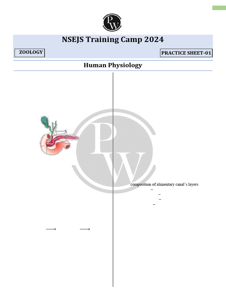 NSEJS 2024 Human Physiology Quiz | PDF | Pituitary Gland | Hypothalamus