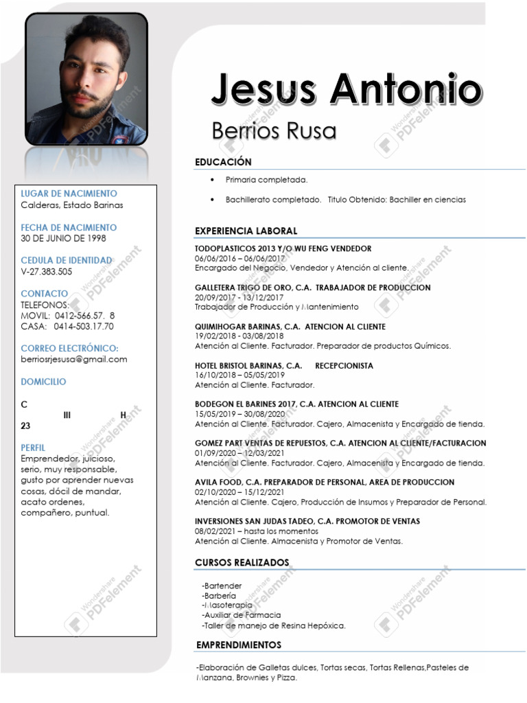 Curriculum Vitae Jesus Antonio 2024-1 | PDF