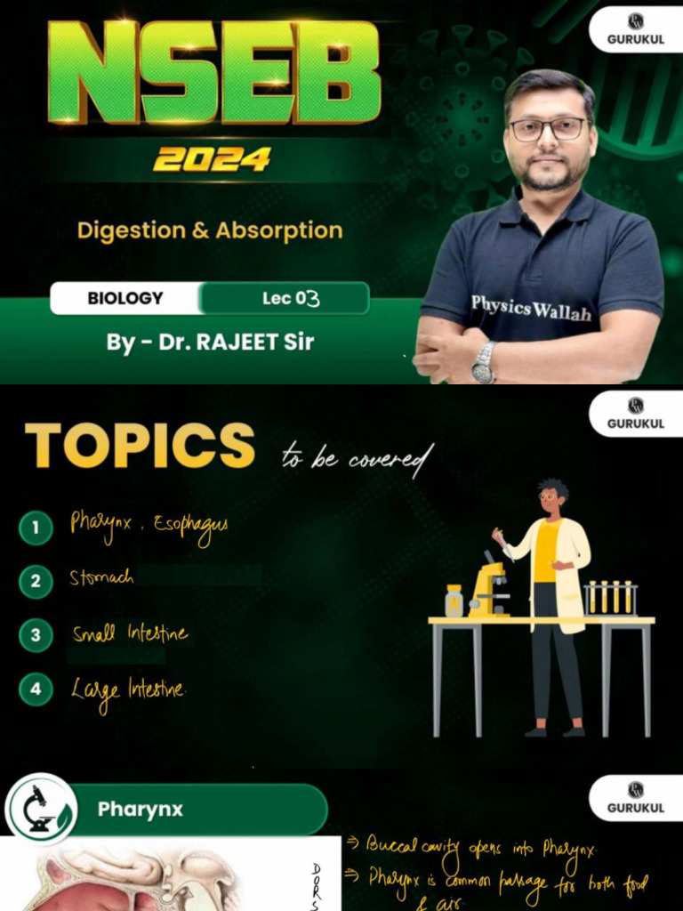 Digestion and Absorption 03 _ Class Notes __ NSEB 2024 | PDF