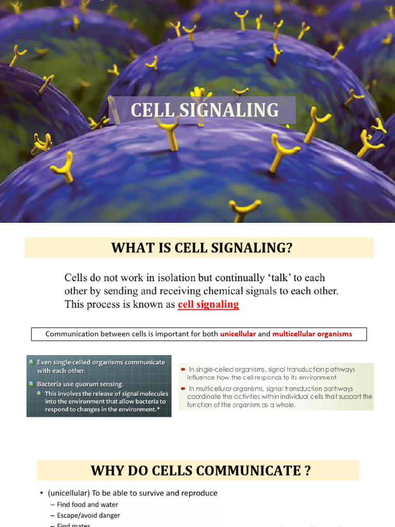 Cell Signaling: Types & Mechanisms | PDF