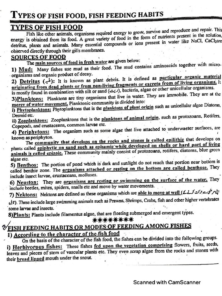 PDFReader 20241118 1705 | PDF